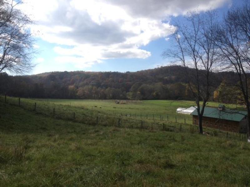 Riverstone Organic Farm - The Crooked Road